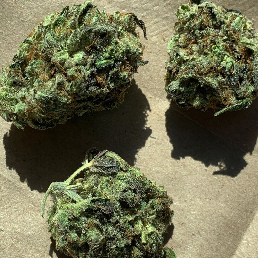 Strain Review: Cackleberry (Cherry Diesel x Stardawg) - The Highest Critic Strain Review: Cackleberry (Cherry Diesel x Stardawg) - The Highest Critic