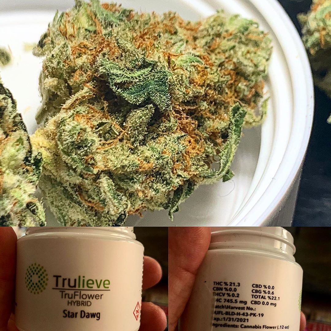 Strain Review: Star Dawg from Trulieve - The Highest Critic Strain Review: Star Dawg from Trulieve - The Highest Critic