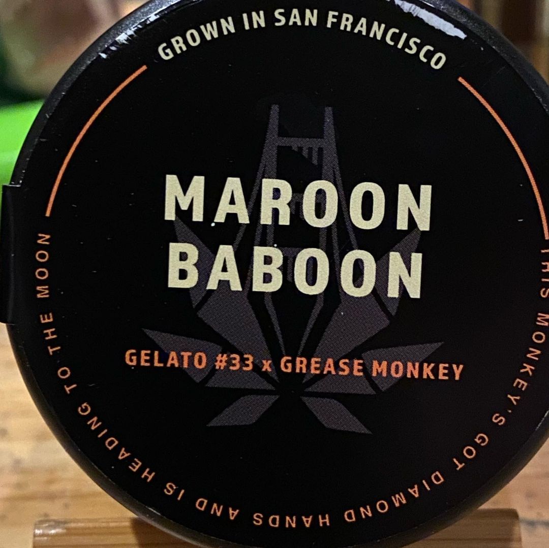 Strain Review Maroon Baboon By Sf Cultivators The Highest Critic